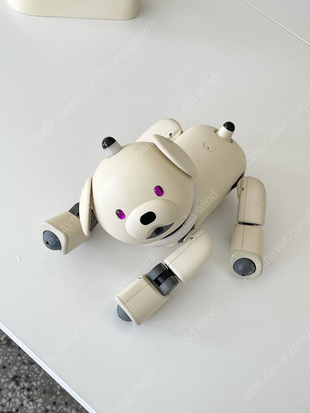 소니 아이보 라떼 (SONY AIBO LATTE) | 피규어/브릭 | 중고나라