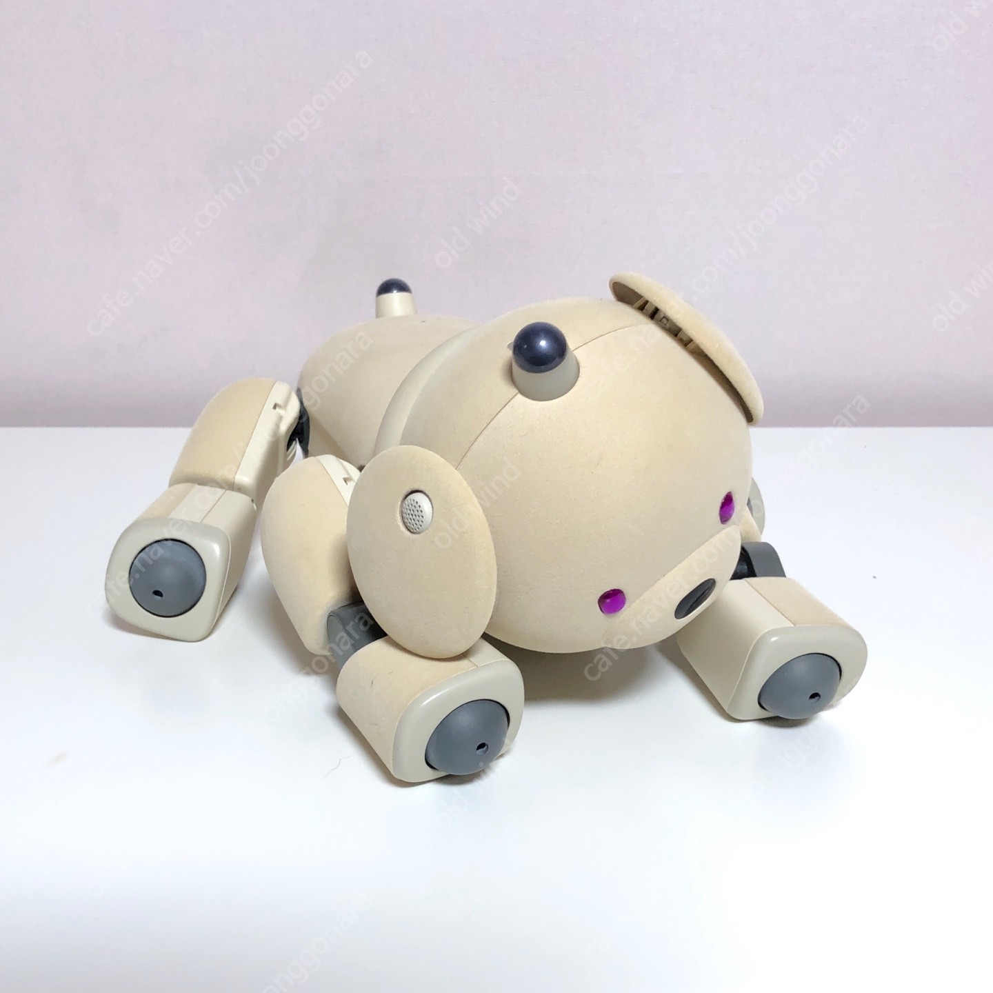 소니 아이보 라떼 (SONY AIBO LATTE) | 피규어/브릭 | 중고나라