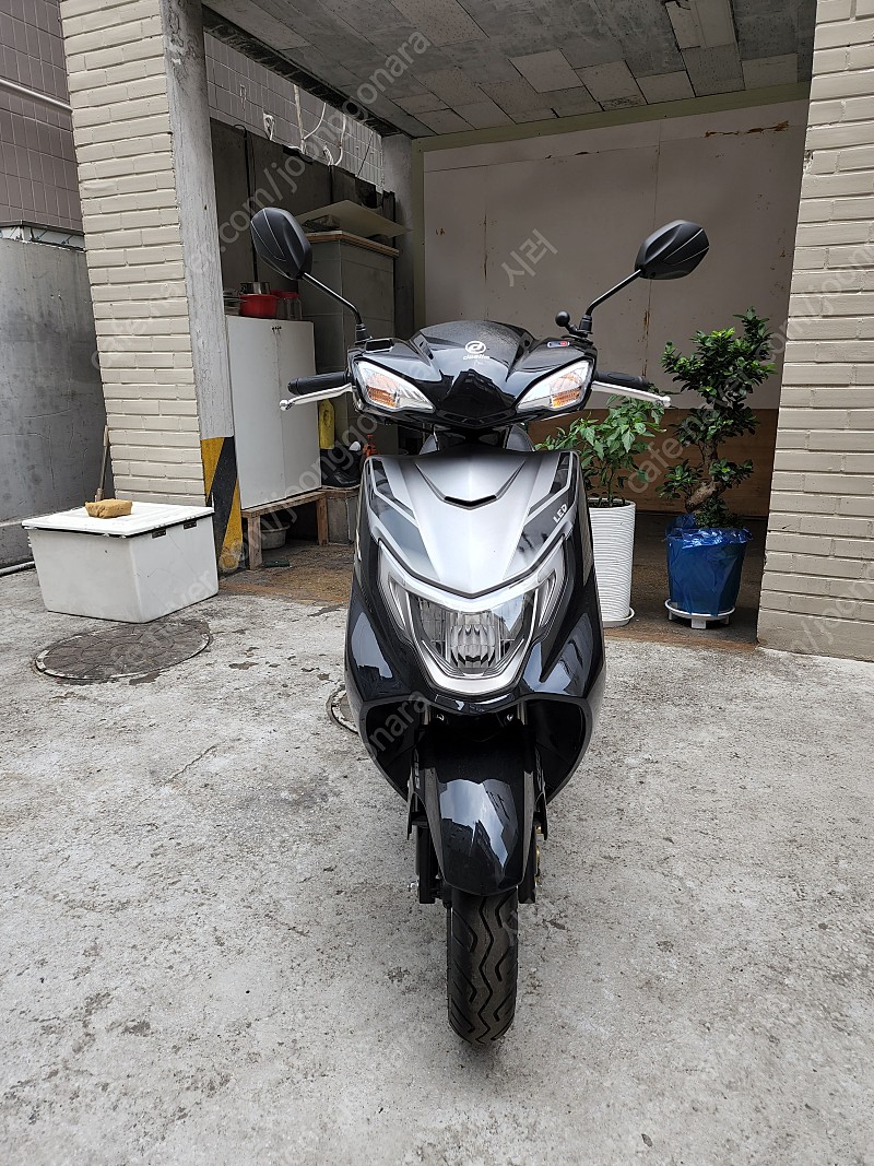 대림 디엔에이모터스 UCR100 336K 2022년식 팝니다. UCR 100 | 125cc 이하 | 중고나라