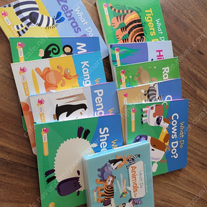 What do animals do 처음 만나는 영어 처음 만나는 동물 친구들 영어책 영어동화책 | 유아동도서/음반 | 중고나라