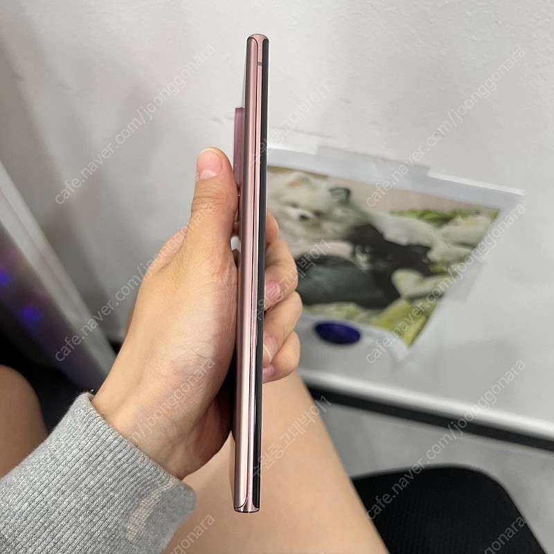갤럭시노트20울트라 KT 로즈골드 256GB 60만 2... | 스마트폰 | 중고나라