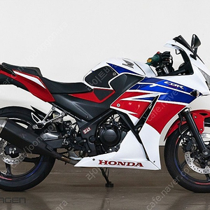[라이트바겐] 혼다 CBR 300 R 2015년식 | 125cc 초과 | 중고나라