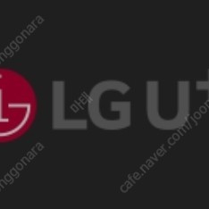 LGU + (엘지유플러스) 데이터 2GB (기가) | 스마트폰 | 중고나라