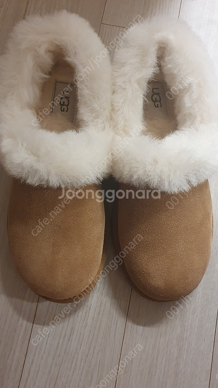 어그 ugg 니타 us6(230-235) 새상품 | 구두/로퍼 | 중고나라