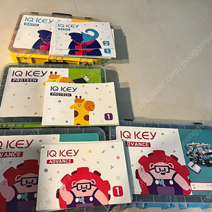 아이큐 키(IQ key)- basic(1개), protech(1개), advance(2개) -택포 | 기타 유아동용품 | 중고나라