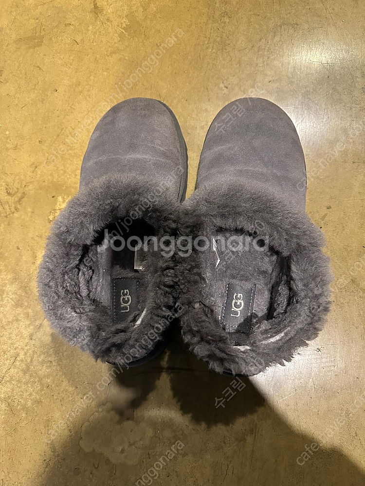 어그 니타 그레이 w8((250) | 중고나라 카페에서 운영하는 공식 사이트