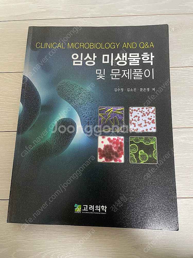 임상 미생물학 및 문제풀이 학습교육 중고나라