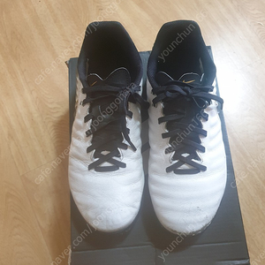 티엠포 아카데미 레전드7 중고... | 중고나라