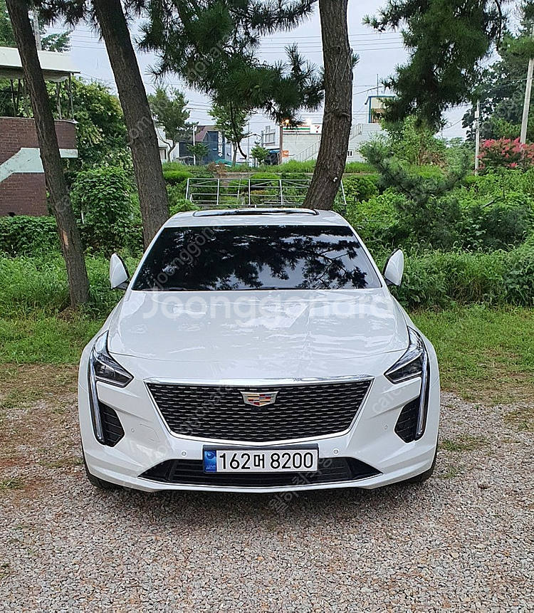 캐딜락 19년식 ct6 3.6 awd 플래티넘 완전무사... | 기타 수입차 | 중고나라