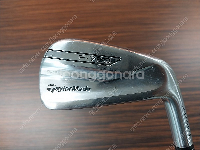 테일러메이드 P790 5번 DGS200 중고 단품 아이... | 아이언 | 중고나라