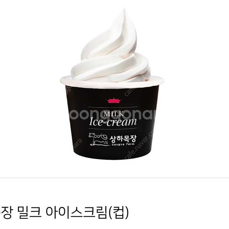 폴바셋 아이스크림컵콘 기타 티켓쿠폰이용권 중고나라