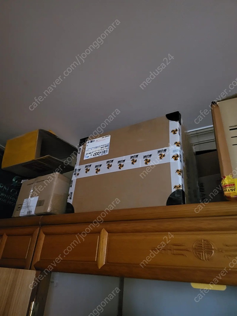 모터뉴클리어 MNQ-XH06 지광성 용저 | 키덜트 | 중고나라