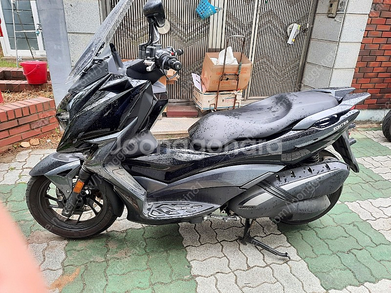 존테스 310m 오토바이 바이크 | 125cc 초과 | 중고나라