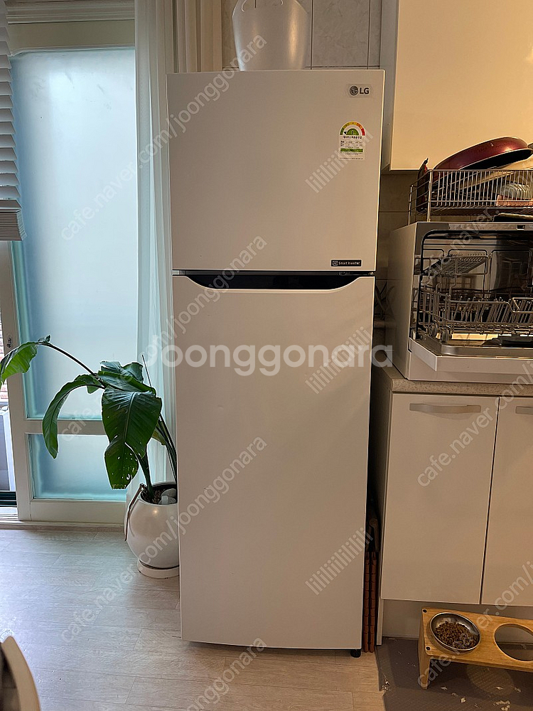 LG 냉장고 2도어 245L (r-b261gbw) | 냉장고 | 중고나라
