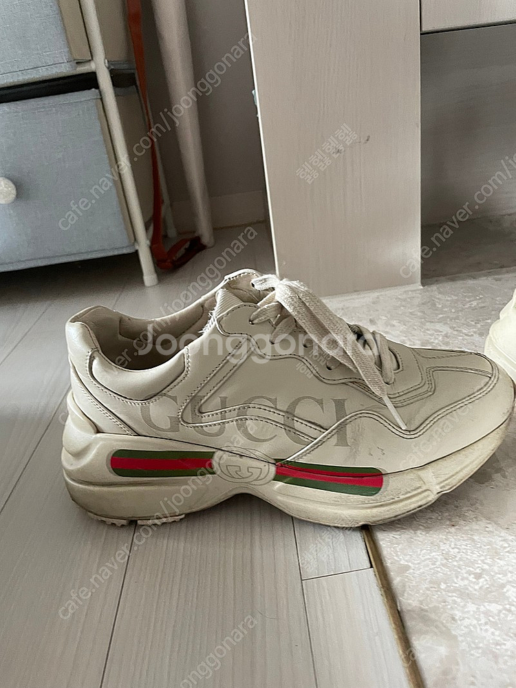 구찌 라이톤 띠로고 UK5 (250-255) | 중고나라 카페에서 운영하는 공식 사이트