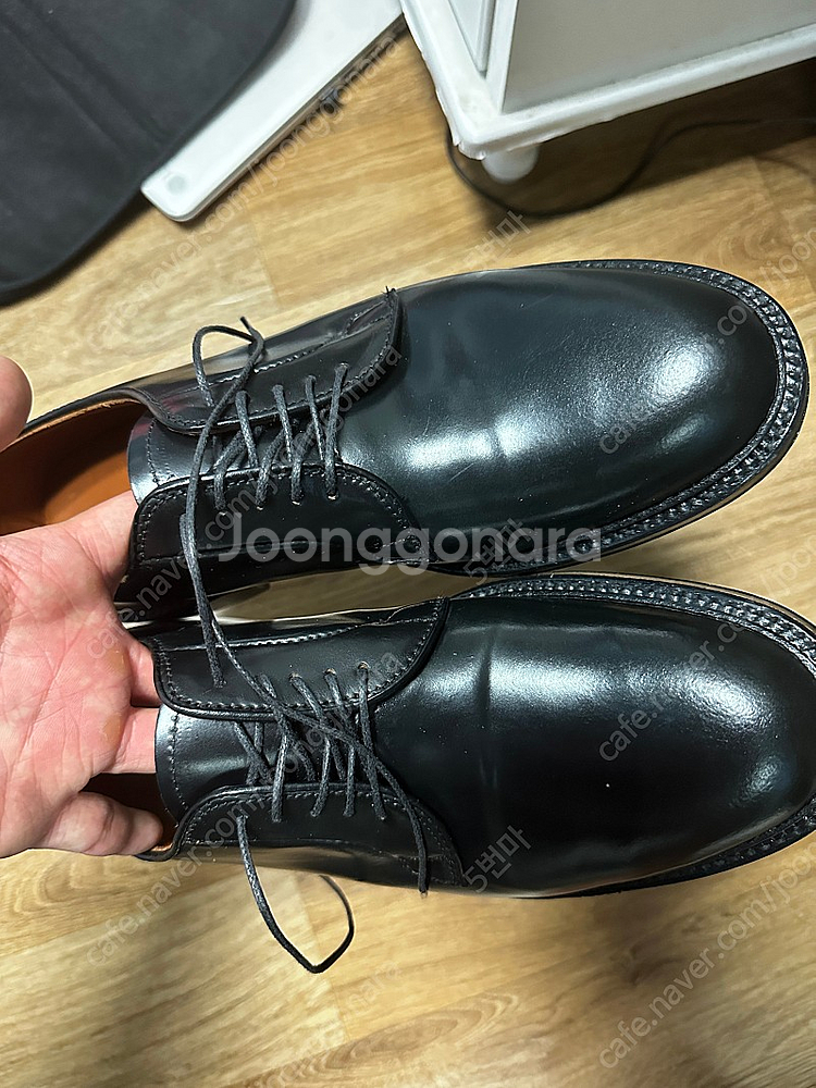 알든 9901 8D | 중고나라 카페에서 운영하는 공식 사이트