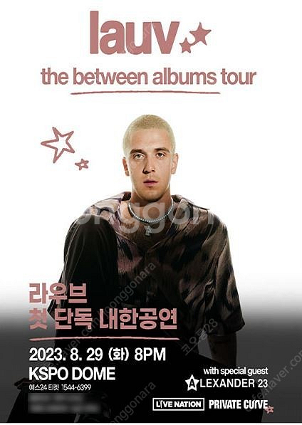 라우브 내한공연 스탠딩 A 11nn번대 2연석 판매합니... | 티켓 | 중고나라