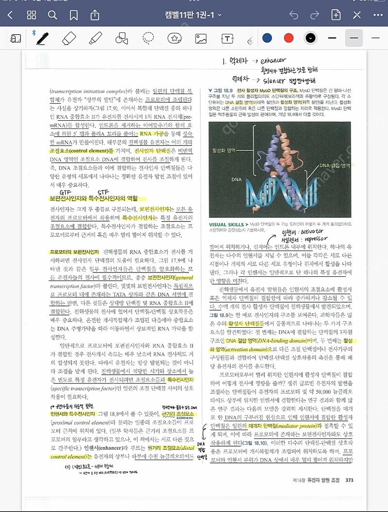 캠벨 생명과학 11판 Pdf 학습 교육 중고나라