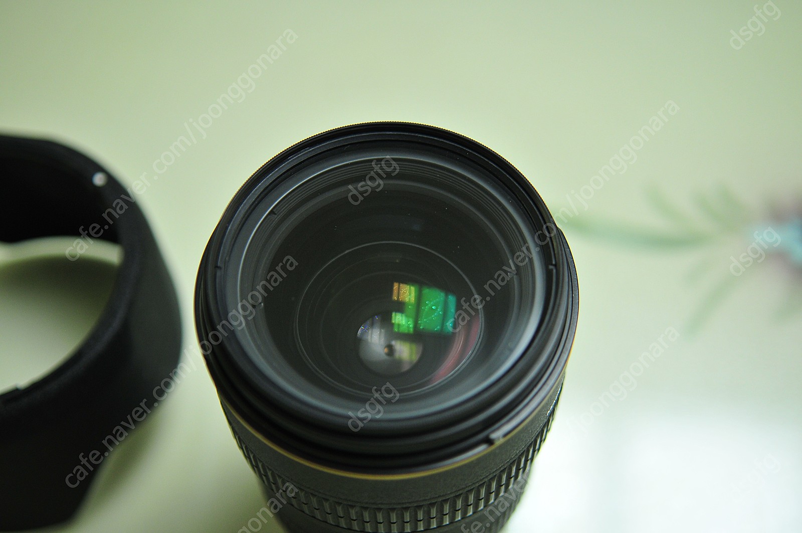 니콘 D800 및 렌즈 판매 | DSLR | 중고나라