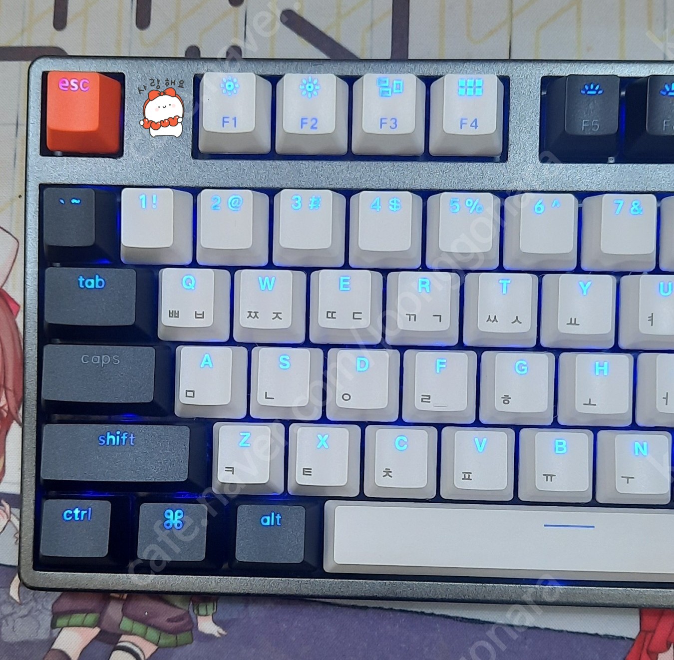 덱헤슘 DECK Hassium CBL-108 ABS 키... | 키보드/마우스/스피커 | 중고나라