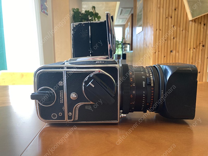 핫셀블라드 503cx | 필름/즉석카메라 | 중고나라