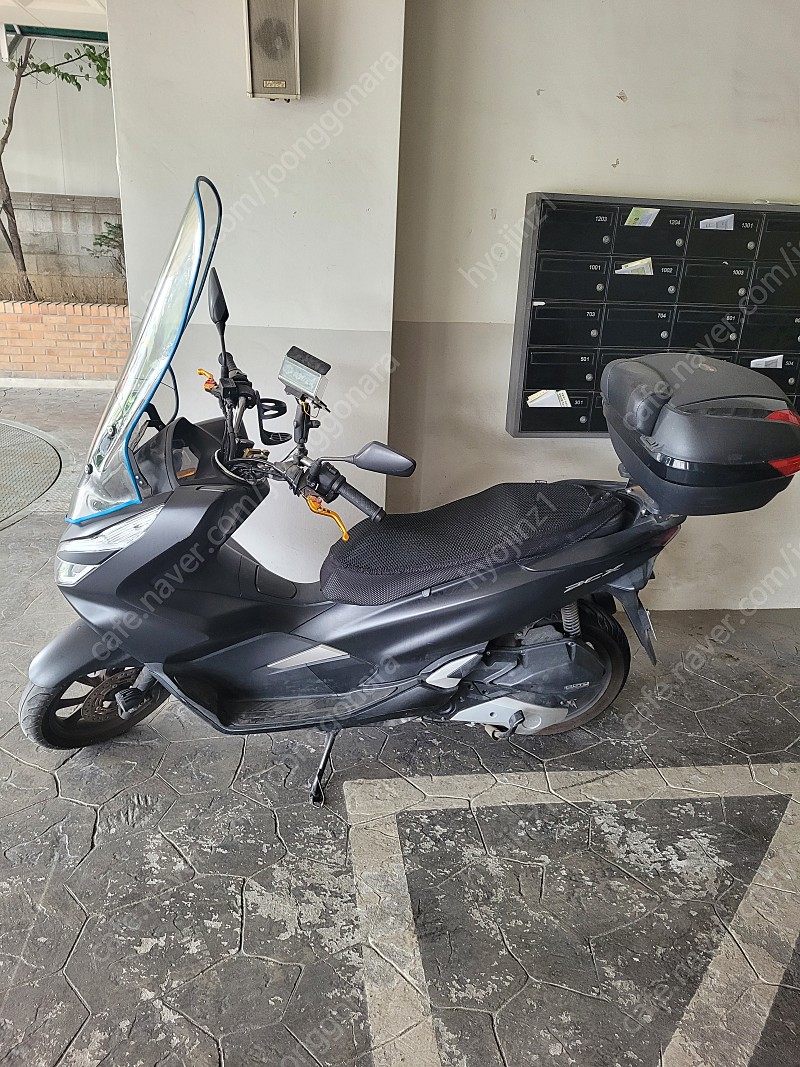 Pcx125 19년식 팝니다 | 125cc 이하 | 중고나라