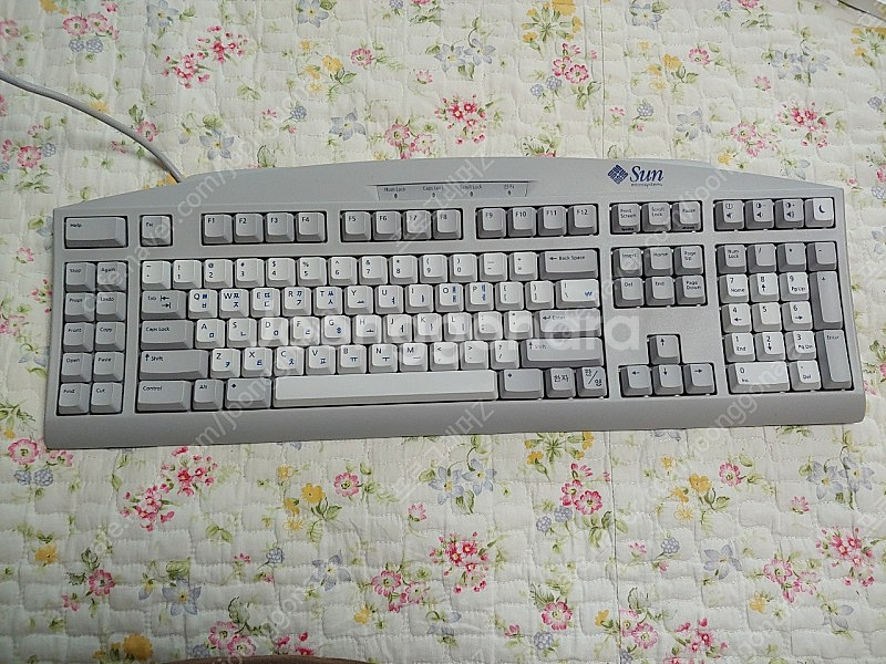 SUN TYPE 6 & SUN TYPE 7 키보드 판매... | 키보드/마우스/스피커 | 중고나라