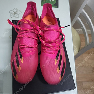 x고스티드ag 중고거래 | 중고나라