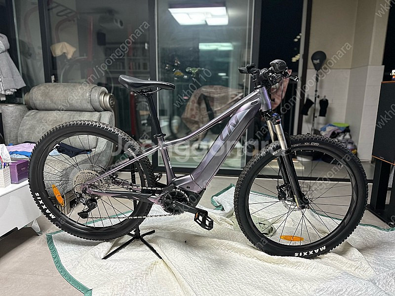 자이언트 리브 볼e 여성전기mtb 전기자전거 전기자전거 중고나라