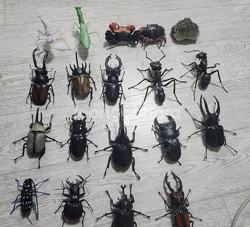 반다이 생물대도감 여러종류 게 사마귀 개미 장수 중고나라 카페에서 운영하는 공식 사이트