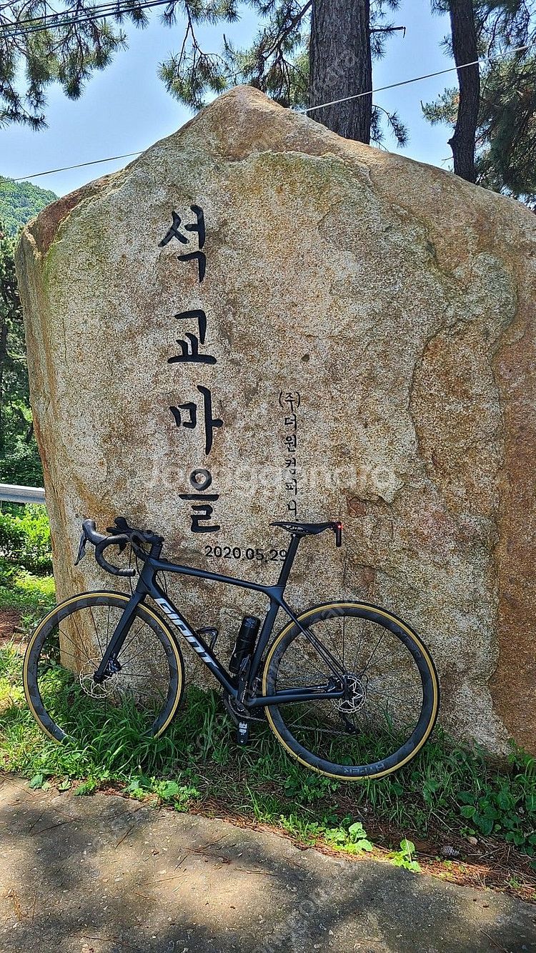 Tcr 어드밴스1 업글차 로드바이크사이클 중고나라