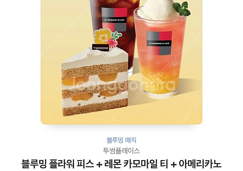 투썸 플레이스 블루밍 플라워피스 레몬카모마일 티 키덜트 중고나라