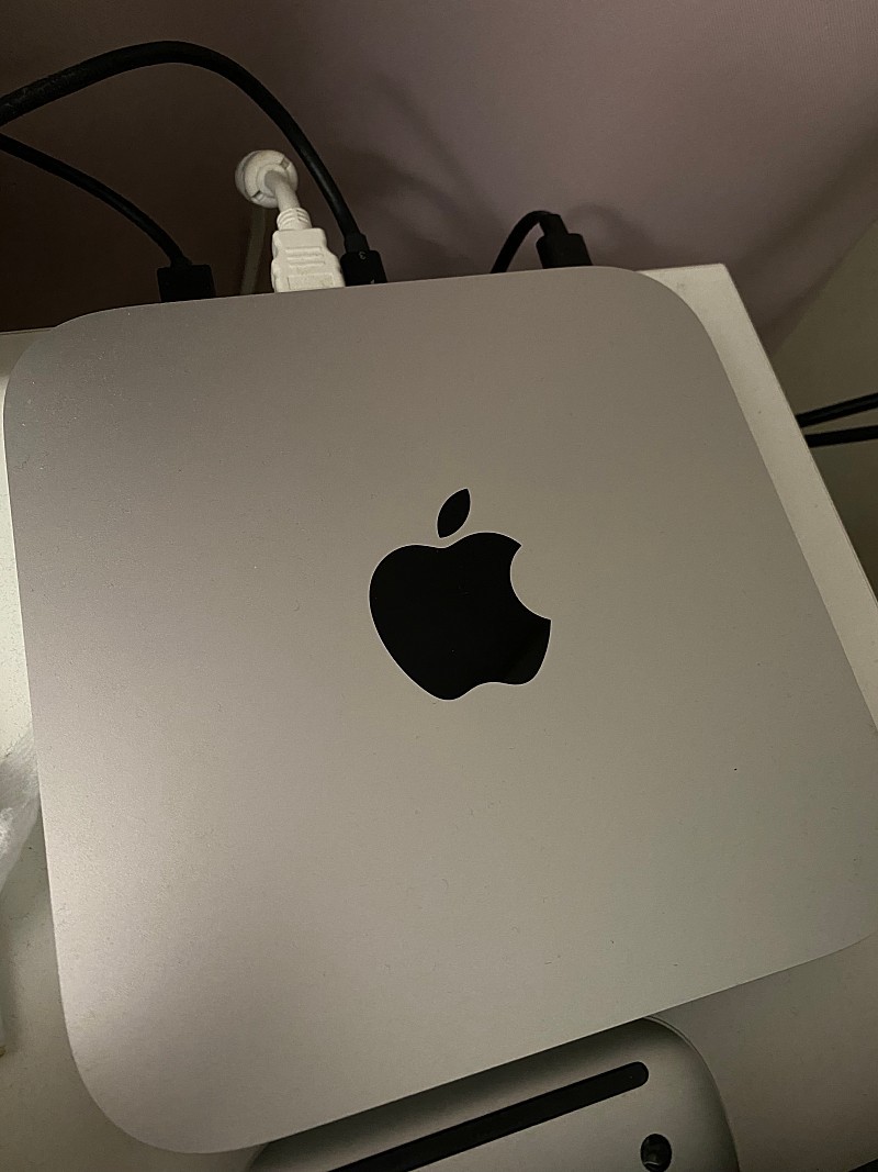 apple m1 mac mini cto 맥미니 1tb ... | 데스크탑/본체 | 중고나라