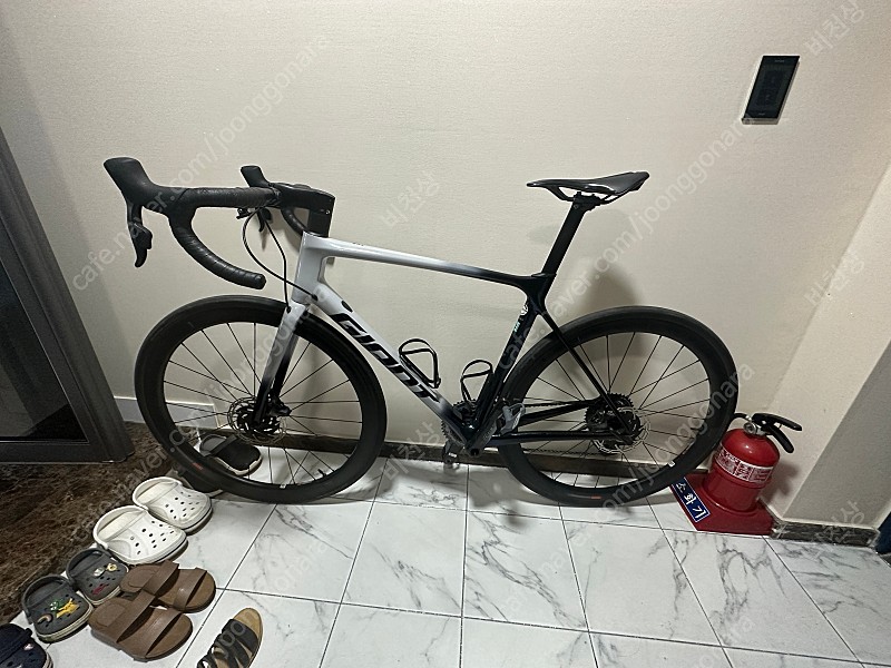 자이언트 22 TCR PRO 0 AR ML 사이즈 팝니... | 로드바이크/사이클 | 중고나라