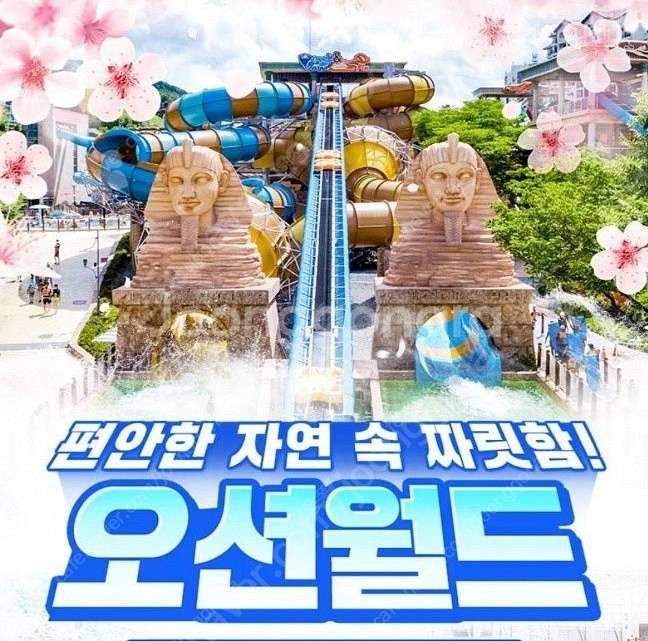 홍천 비발디 워터파크 오션월드 주중주말종일권 2인권 기타 티켓 쿠폰 이용권 중고나라