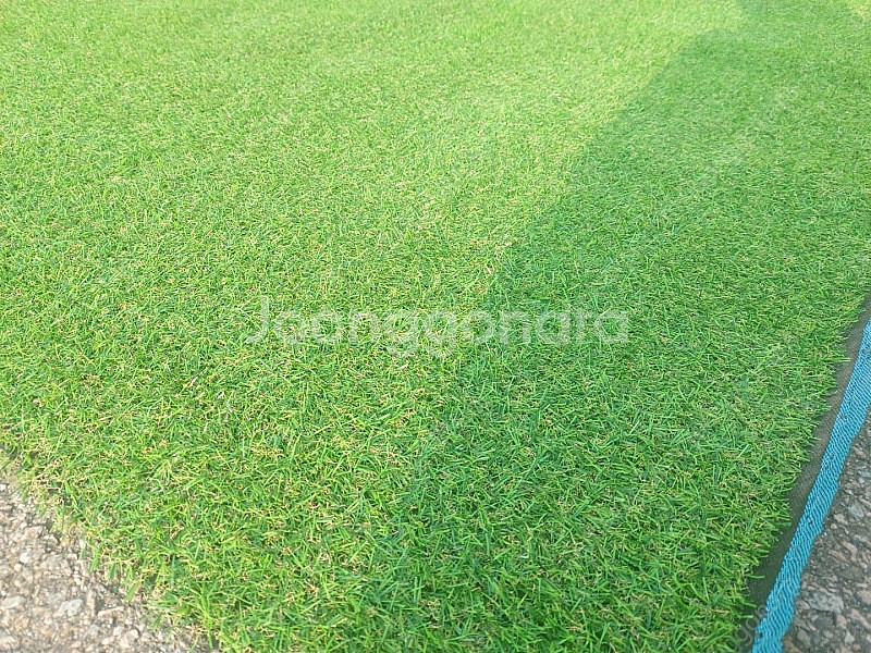 행사용중고인조잔디 보급형20mm 2mx 25m 15평 ... | 인테리어소품 | 중고나라