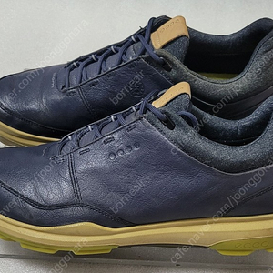 ecco골프화남성 중고거래 | 중고나라