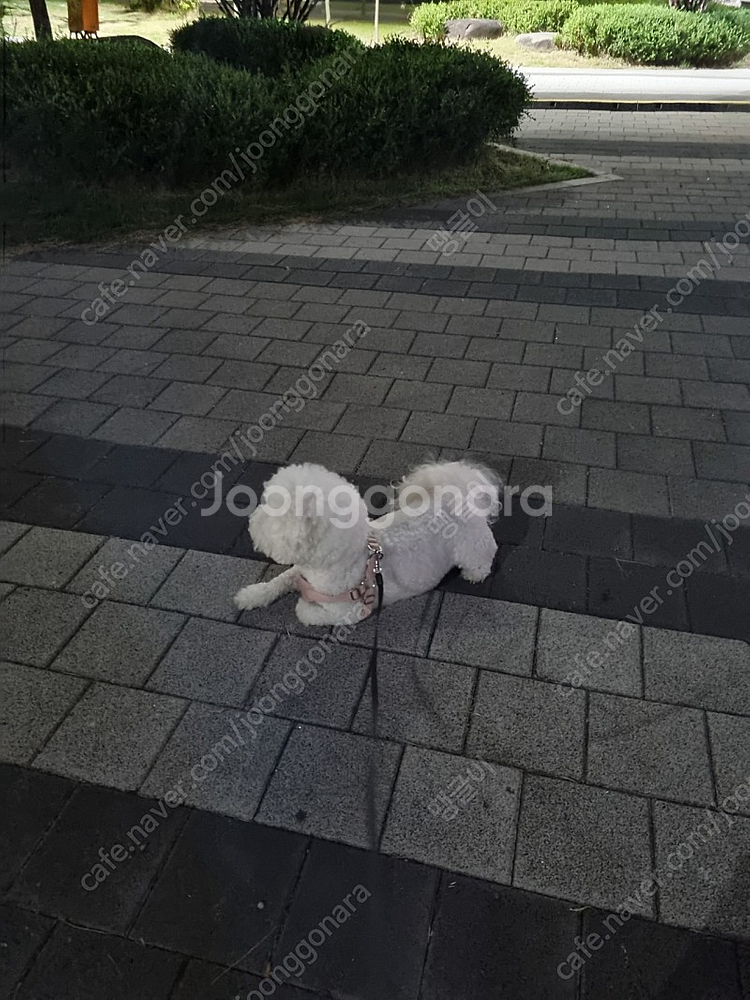 cgv 2D 2장 18000원 | 티켓 | 중고나라