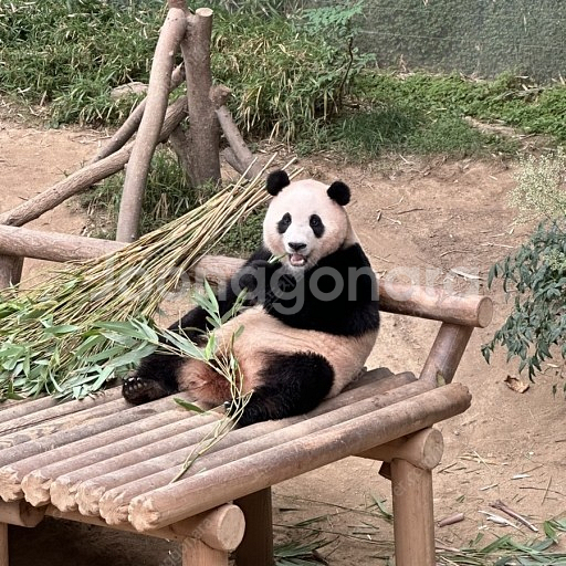 에버랜드 연간회원권 팔아요 기타 티켓쿠폰이용권 중고나라