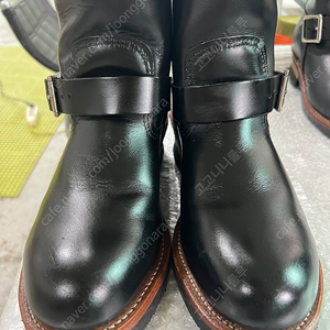 레드윙 270 중고거래 | 중고나라