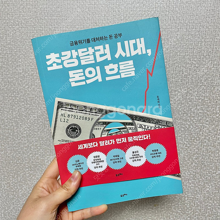 초강달러 시대 돈의 흐름 자기계발서 책 예술디자인 중고나라
