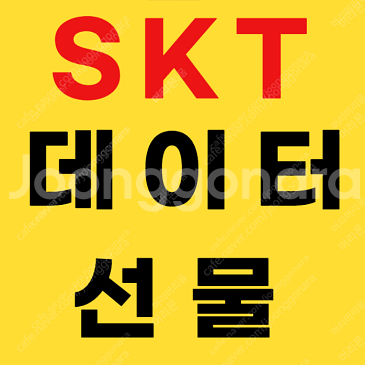 SKT 2기가 데이터 판매합니다 | 기타 티켓/쿠폰/이용권 | 중고나라