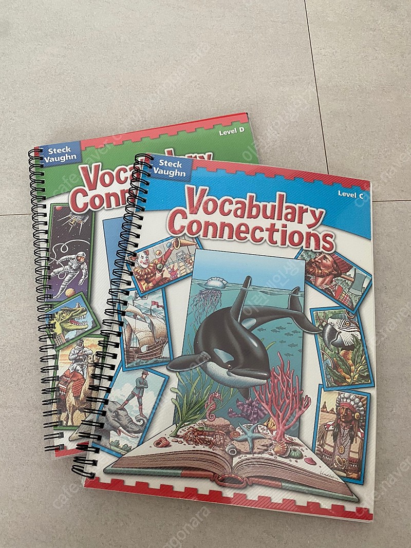 vocabulary connections | 학습/교육 | 중고나라