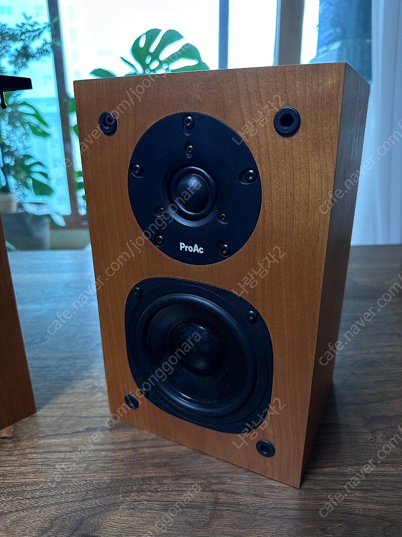 프로악 타블렛 10 ProAc Tablette ten | 오디오/홈시어터 | 중고나라