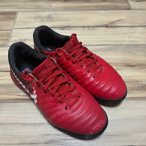 티엠포 중고거래 | 중고나라