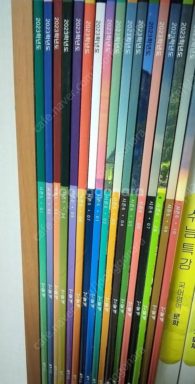작년 간쓸개 파이널 시즌5 시즌6판매합니다 학습교육 중고나라
