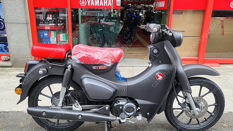 혼다 신차 슈퍼커브C125판매합니다 | 125cc 이하 | 중고나라