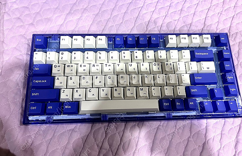 앱코(ABKO) AG75 기계식 키보드 적축 키보드 판... | 키보드/마우스/스피커 | 중고나라