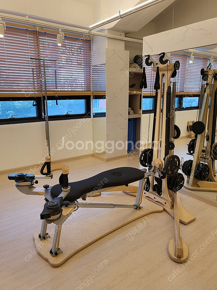 자이로토닉 울티마 풀리타워 팝니다 요가필라테스용품 중고나라