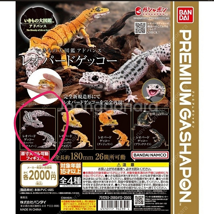 반다이 프리미엄 생물대도감 레오파드 게코 미개봉 가격 키덜트 중고나라